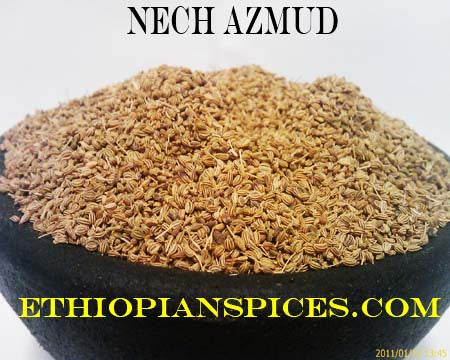 Nech Azmud – Ethiopianspices.com